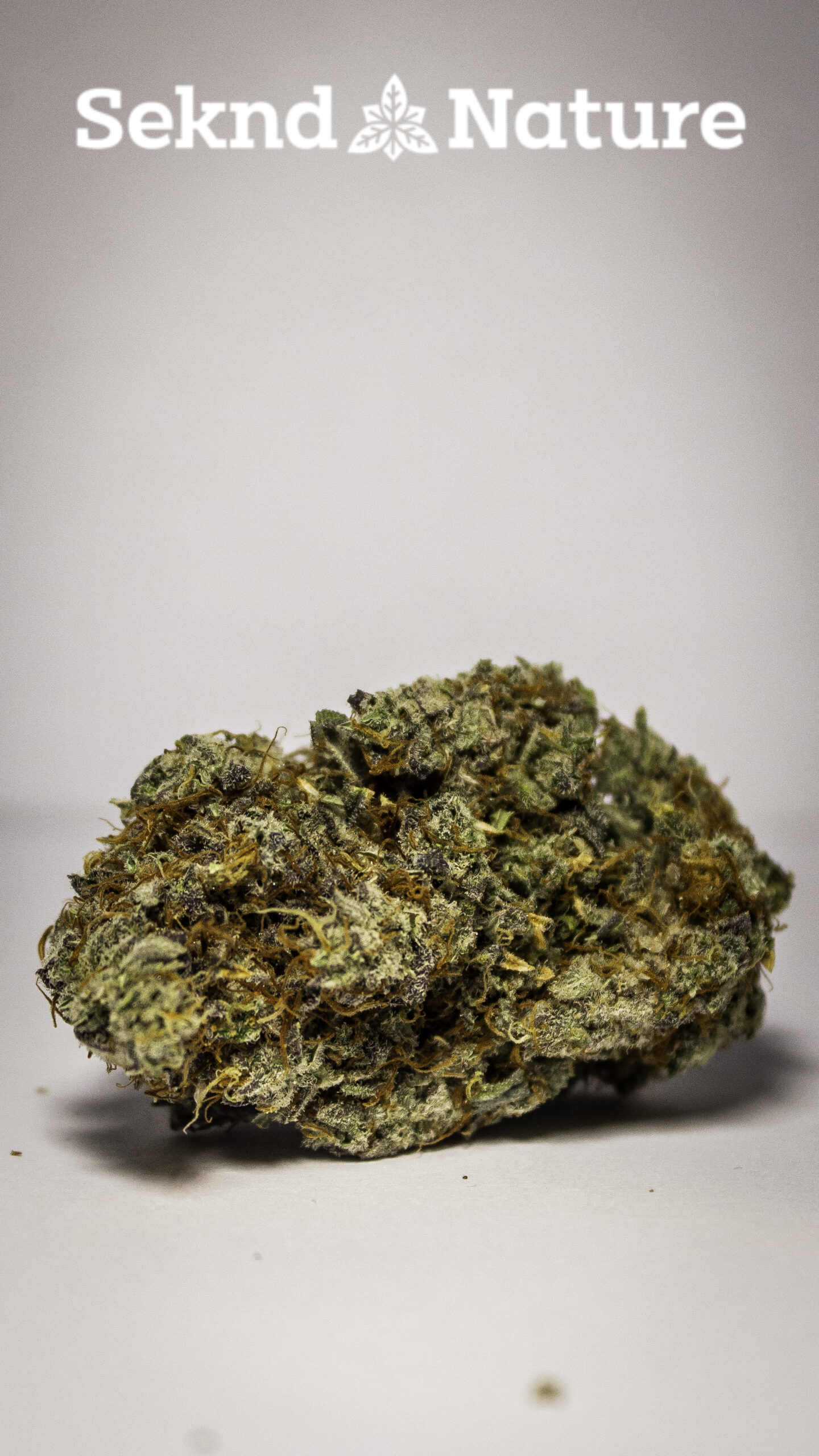 Citradelic Sunset AAA+ - Seknd Nature